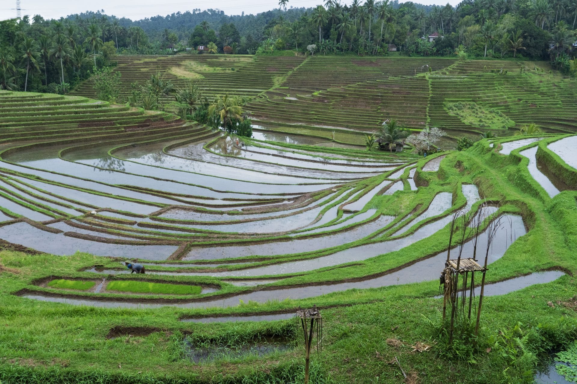 Bali et Ses Mille Noms - L’Île des Dieux et des Merveilles
